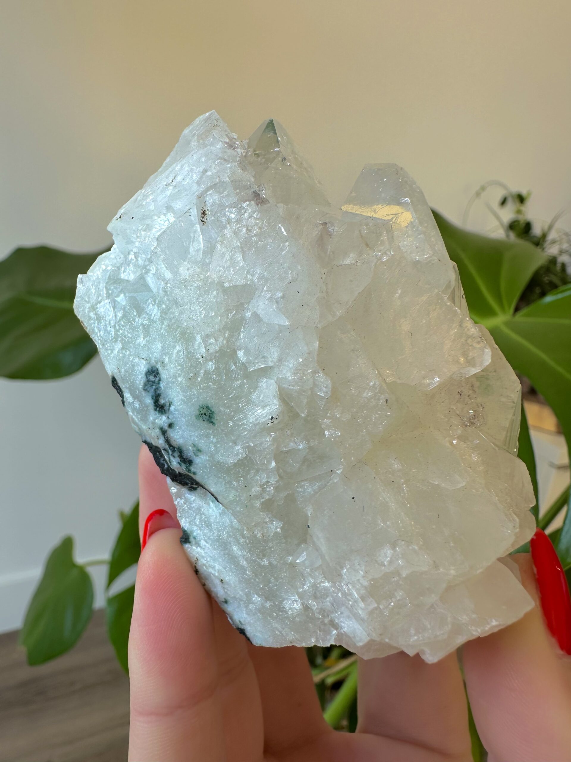 Mirror Apophyllite Cluster – Teddy's Tarot
